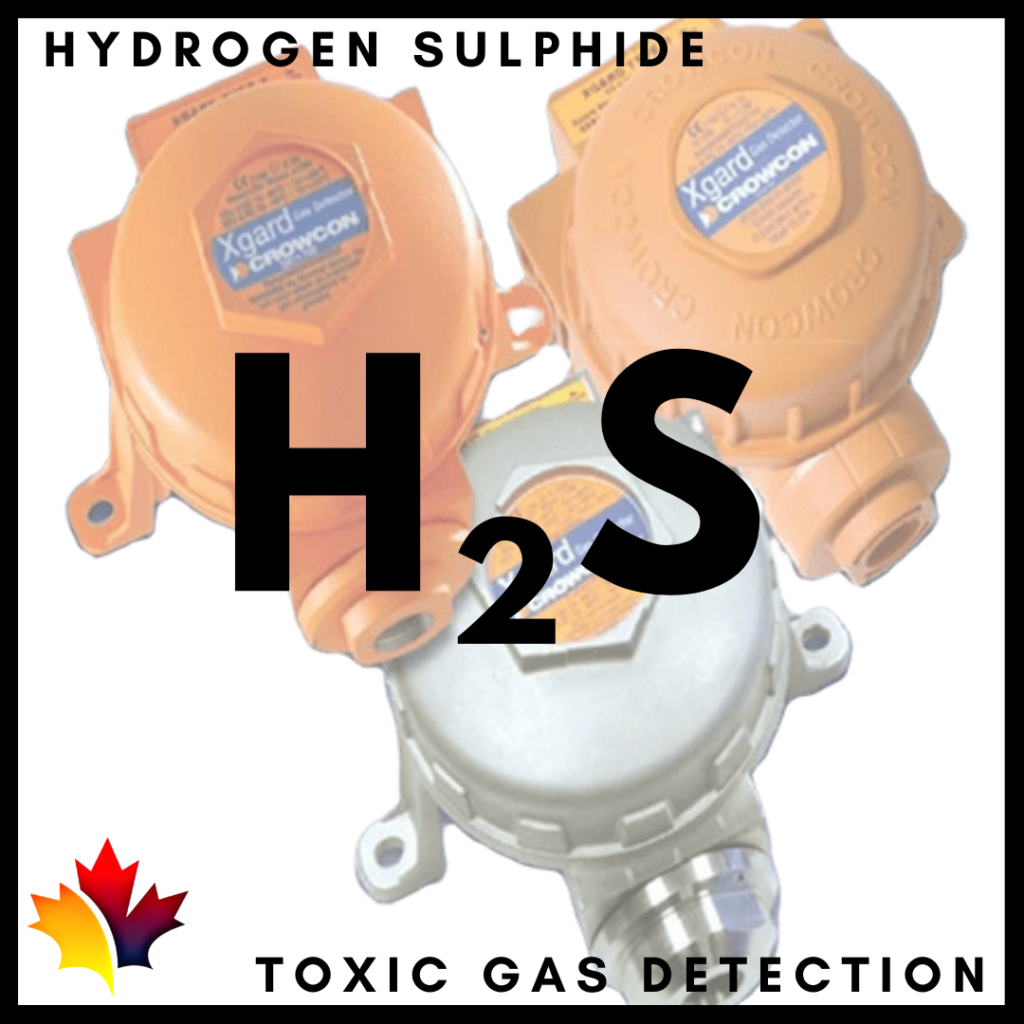 Hydrogen Sulphide Gas Detectors | Crowngas Qatar